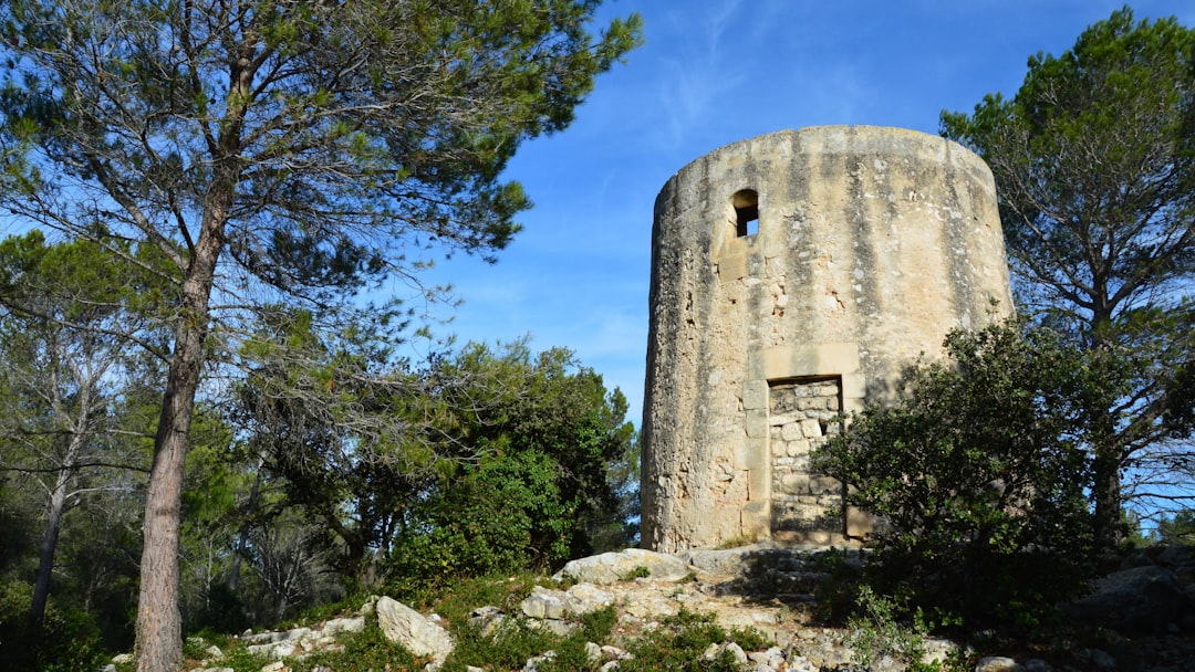 Siege towers: mapping the medieval marvels beyond the myths - Knight ...